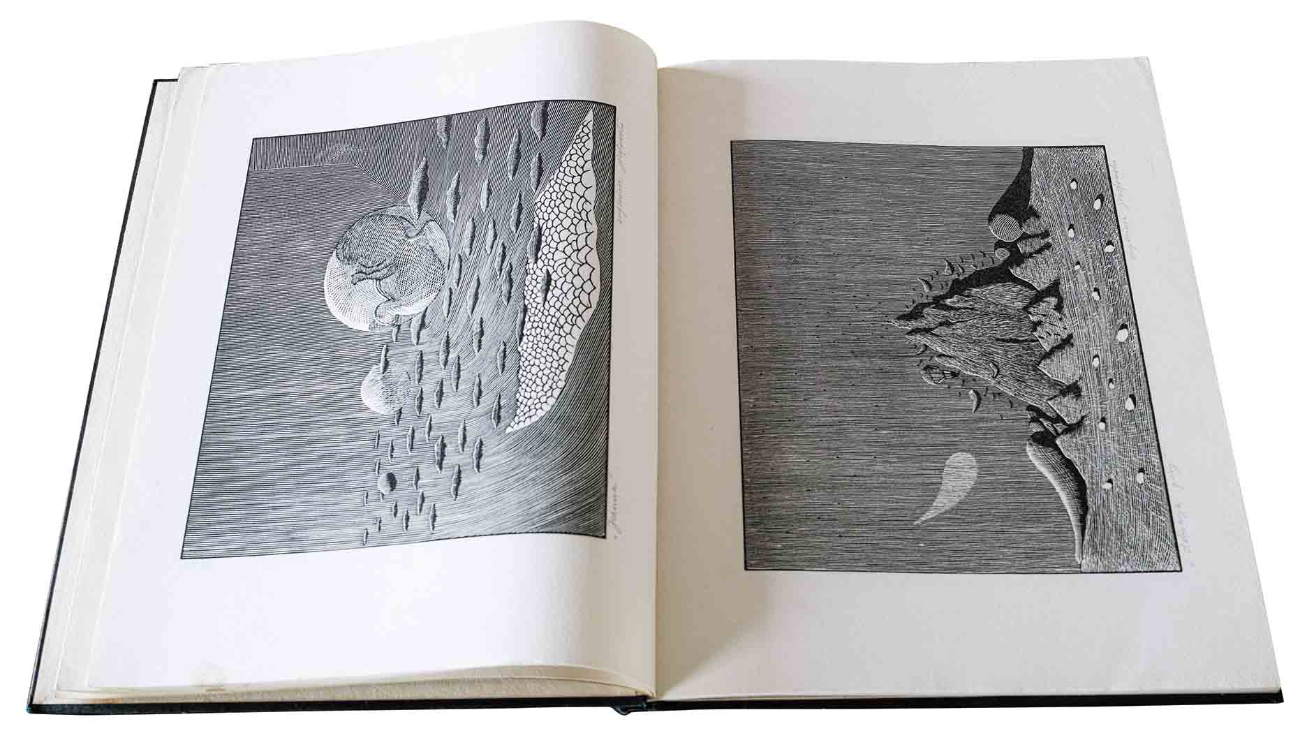 KSIĄŻKA ARTYSTYCZNA | EUGENIUSZ JÓZEFOWSKI